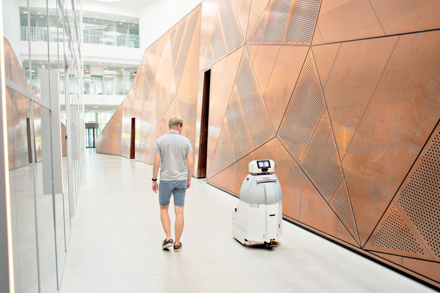 Digitalization, Automation, AI and the Future Sustainable Work ...