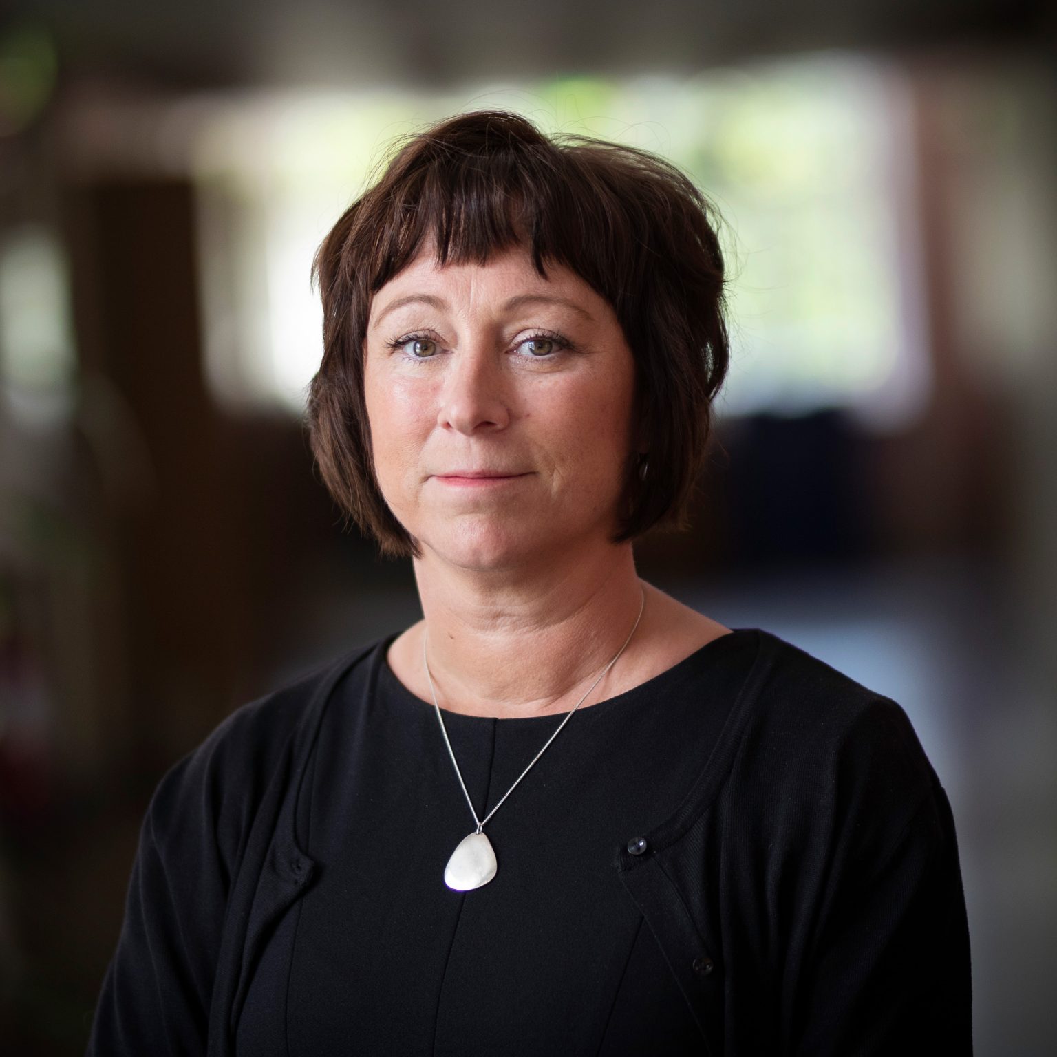 Digitalization, Automation, AI and the Future Sustainable Work ...